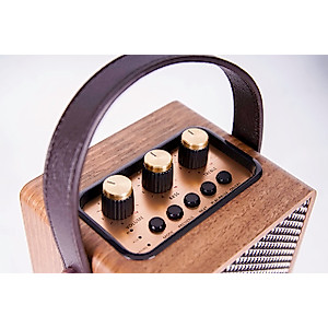 Fuse Andle Vintage Retro Bluetooth Speaker with Vegan Leather Handle | Portable Speaker with Smartphone Connection | USB & AUX Input | Stylish Brown Wood Exterior