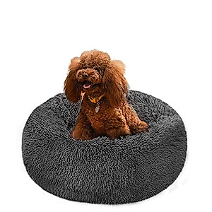 DDSNTY Cat Bed,Cat Beds for Indoor Cats,24 Inch Dog Beds for Small Dogs,Small Dog Bed Cat Beds,Puppy Bed,Pet Beds for Small Dogs&Cats,Anti-Slip Anti-Anxiety Donut Fluffy Soft Durable