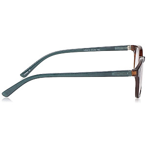 Foster Grant Women's Elodie Round Reading Glasses, Tortoise/Transparent, 59 mm + 3.25