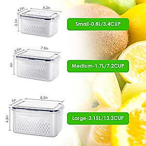 G · PEH Fruit Storage Containers for Fridge Fresh Container with Filterable Basket & Airtight Lid Vegetable and Fruit Saver Containers Refrigerator Organizer for Fruit Salad Lettuce Berry Meat