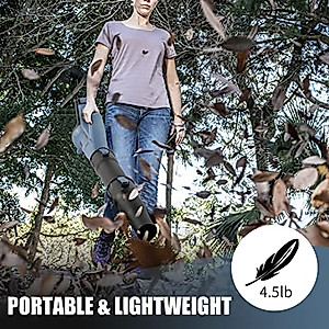 AVID POWER 20V Cordless Leaf Blower, Electric Battery Operated Blower with Two Batteries, Dual-Speed Settings and Charger Included, Light Duty for Lawn Care