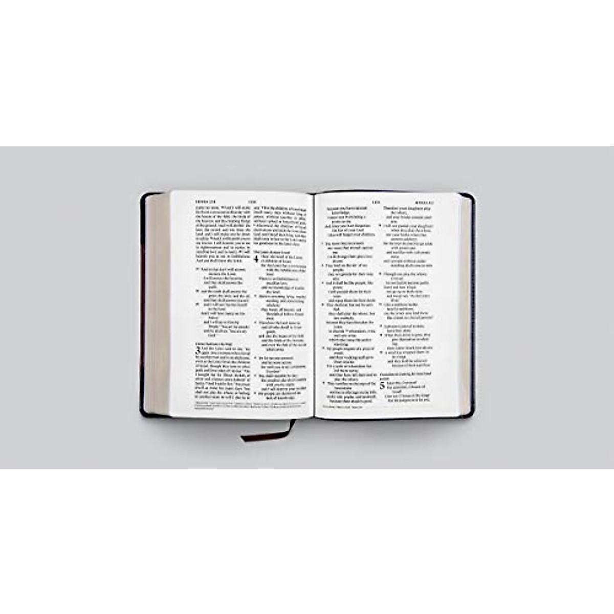 ESV Large Print Wide Margin Bible (TruTone, Brown/Cordovan, Portfolio Design)