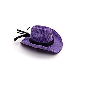 Carolina Designer Dragons' Bearded Dragon Cowboy Hat, Purple