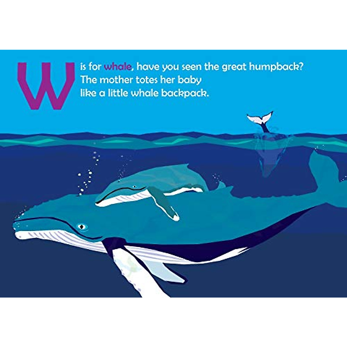 B is for Boston (Alphabet Cities)