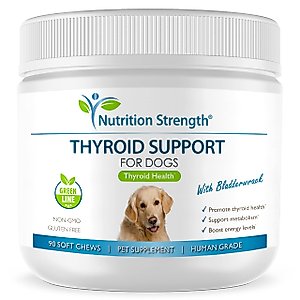 Nutrition Strength Thyroid Supplement for Dogs, Support for Hypothyroidism in Dogs with Organic Bladderwrack, Promotes Normal Function of Endocrine and Enzyme Systems, 90 Soft Chews