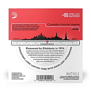 D'Addario Guitar Strings - Phosphor Bronze Acoustic Guitar Strings - EJ17-10P - Rich, Full Tonal Spectrum - For 6 String Guitars - 13-56 Medium, 10-Pack