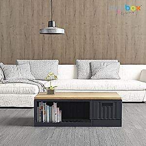 livinbox 45L collapsible storage bins with door, comic books container, dust-proof stack-able folding box for Home Office Bedroom Dorm Toys Bedding, white & transparent, FB-6432S-WTTR