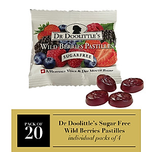 Dr. Doolittle’s Sugar Free Soft Fruit Pastilles for Voice and Throat, Wild Berries Flavor, Travel Size Bag,0.33 ounces approximately 4 Count Package, 20 Pack