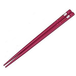 Skater Japanese Rabbit Blossom Chopstick and Case, Red