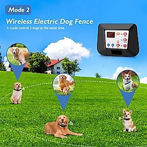 Wireless Dog Fence System, Electric Dog Fence for 2 Dogs & Remote Trainer, Portable Dog Perimeter Fence Wireless, Adjustable Pet Training Collar Receiver for The Yard, Harmless for Medium Large Dogs