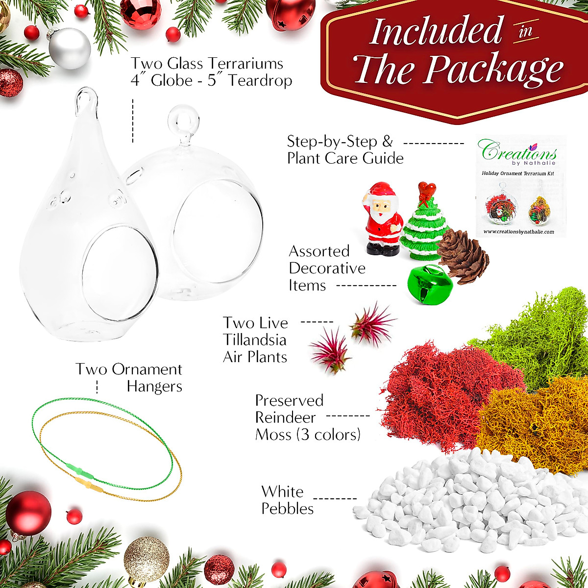 Creations by Nathalie - DIY Holiday Ornaments Terrarium Kit - Live Air Plants - 2 Glass Terrariums, Reindeer Moss, Christmas Figurines, White Stones