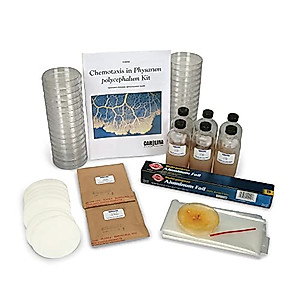 Chemotaxis in Physarum polycephalum Kit