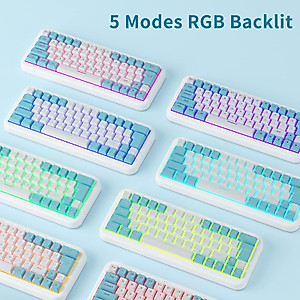 ROCHIE 60% Percent Keyboard, Wireless Gaming Keyboard, Gaming Keyboard 60 Percent, 2.4G Computer Keyboard with Wrist Rest, Compatible with Mac OS and Windows for Laptop PC (White-2)