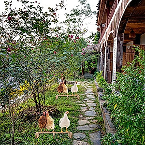 3 pcs Brooder Stand Horse Pet Accessories Chicks Single Toys Hens Swing Chick Standing Wood Pigeon Parrots Training Big Bar， Supplies Perch- Coop and Trainning for Garden