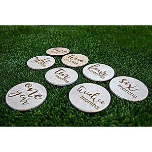 Baby Milestone Wood Circles