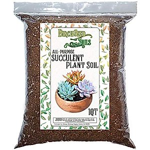 Succulent Plant Soil, Natural All-Purpose Cactus, Aloe Vera, and Succulent Potting Soil, 1 Quart Sized Bag, Premium Fast Draining Mix