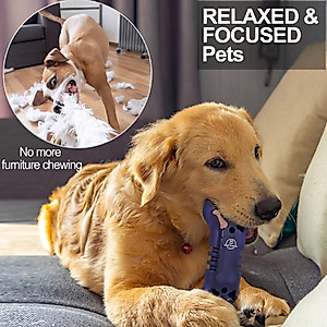 GRAY'S FAVES Goodie Dog Chew Bone Toy with Treat Dispensing Grooves, Heavy-Duty for Aggressive Chewing, Enriching and Interactive Play for Puppies, Safely Cleans Teeth (Blue)