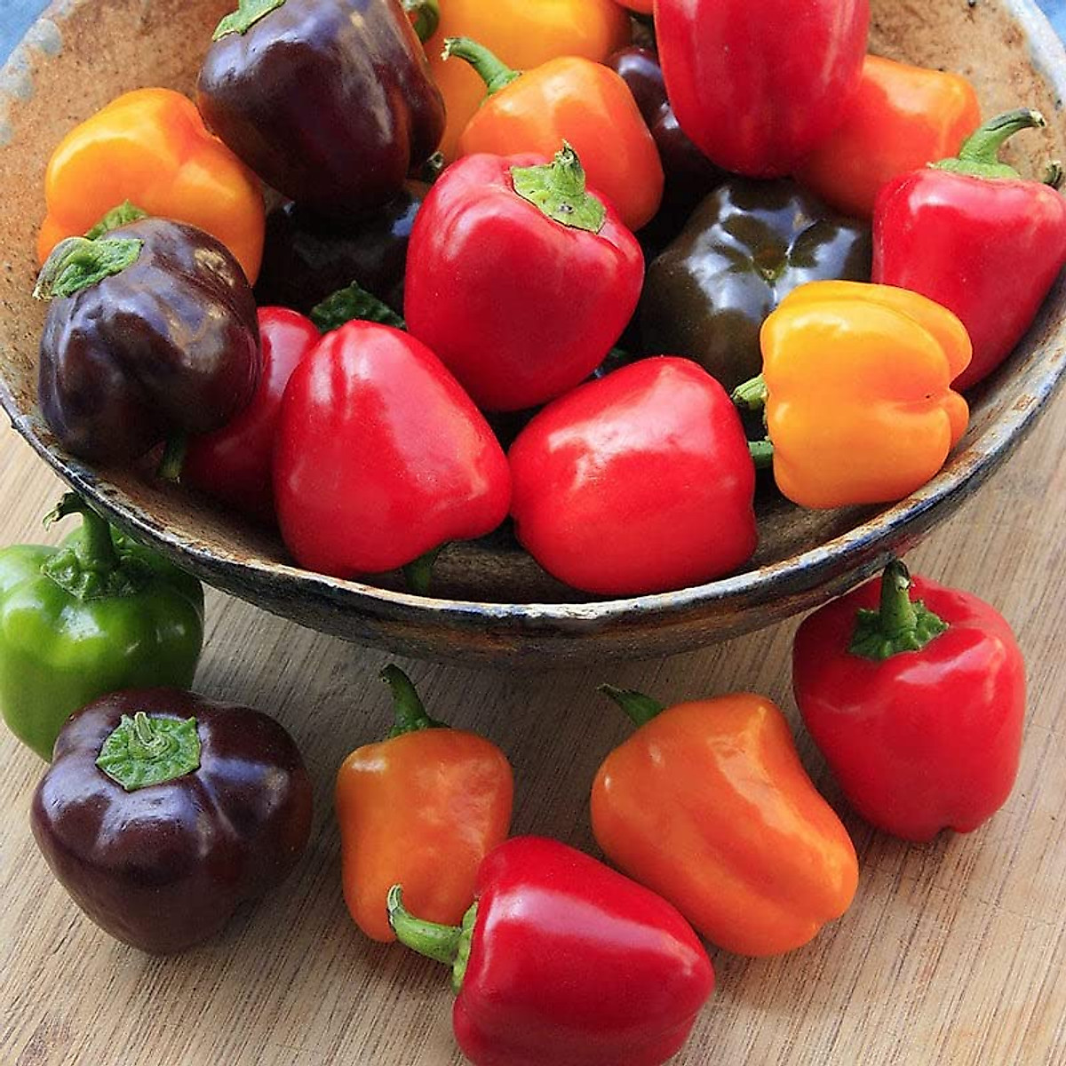Sweet Pepper Seeds - Mini Bell Blend - 1/4 Pound - Vegetable Seeds, Heirloom Seed Easy to Grow & Maintain, Container Garden