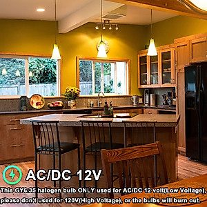Lacnooe GY6.35 Halogen Bulb 50W, 12 Pack Dimmable GY6.35 Light Bulb Q50/CL/GY6/12V/T3/T4 JC Type GY6.35/G6.35 Bi-pin Base AC/DC 12V Warm White 2700K Single Ended Capsule Light Bulbs