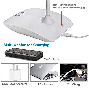 DEEPLITE LED Desk Lamp with Flexible Gooseneck 3 Level Brightness, Battery Operated Table Lamp 5W Touch Control, Compact Portable lamp for Dorm Study Office Bedroom(Set of 2)