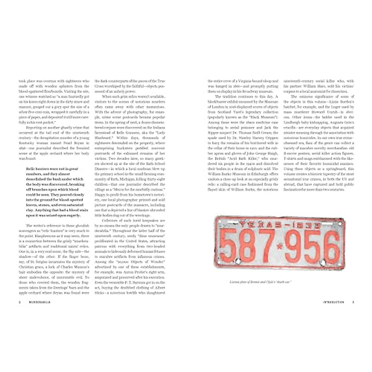 Murderabilia: A History of Crime in 100 Objects