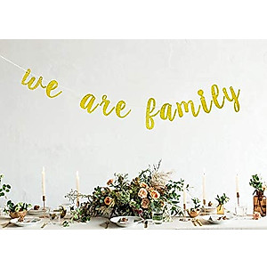 Gold Glitter We are Family Banner, Family Reunion Party Banner, Family Photo Prop, Banner for Family Party Home Decoration - We are Family
