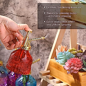 8 Pcs Glass Plant Mister Spray Bottle 200ml Vintage Plant Spritzer Multicolor Succulent Watering Bottle Watering Can 6.4'' with Plastic Top Pumps for Indoor Outdoor Succulents Garden Plants (Gold)