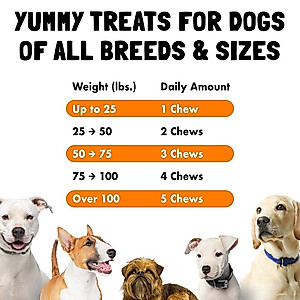 LEGITPET Allergy Relief Chews for Dogs & Immune Support with Kelp, Colostrum & Bee Pollen 120 Soft Chews and Hemp Hip & Joint Supplement for Dogs 120 Soft Chews Bundle - Made in USA