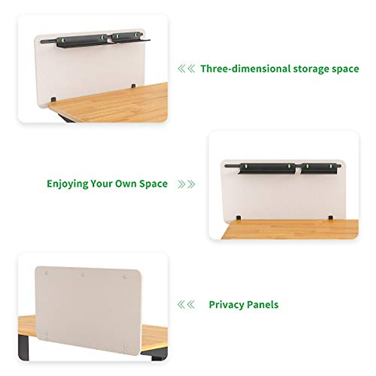 BANTI Dual Motor Adjustable Height Standing Desk, Electric Sit Stand Desk with Screen Panel, 48 x 24 Inches Stand up Desk, Home Office Desk with Rubberwood Top and Black Frame B-SDE-SP48BO-D