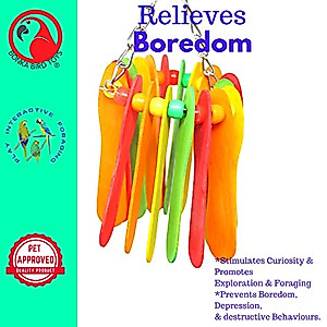 Bonka Bird Toys 1401 Spoon Circle Colorful Chew Parrotlet Beak Cockatiel Budgie Finch Parakeet Lovebird Quaker