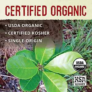 ECOTEAS - Unsmoked Yerba Mate Tea Bags - Detox and Hi Caf Tea - Organic - 100 Tea Bags, 8.8 oz