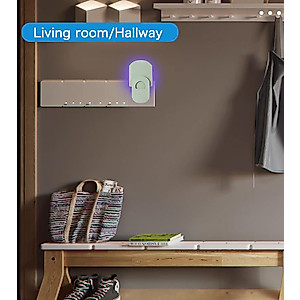 Flying Insect Trap, Fruit Fly Traps for Indoors, Plug in Gnat Traps for House Indoor Safe Non-Toxic UV Light Attractant Insect Traps Indoor with 10 Sticky Pad for Flies, Gnats, Moths, Mosquitoes