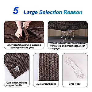 Privacy Fence Screen Cover for Balcony Porch Verandah Deck Patio Backyard, Windscreen Covering Fabric Railing Up to 90%-95% Blockage, Brown (Size : 3mX6m)