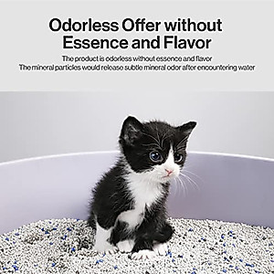 pidan Cat Litter Bentonite Vacuum Packing Ultra Absorbent and Fast Drying Clumping Within 3S with Activated Carbon (13.2lb×1bag)