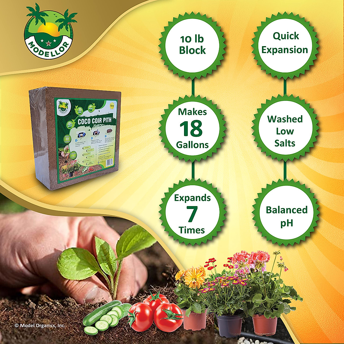 MODELLOR Premium Coco Coir Brick 10 lb., yields 18 to 20 gallons of Coir, Organic, Super Washed, Seed Starter, pH Balanced, Gardening, Indoor, Outdoor use.