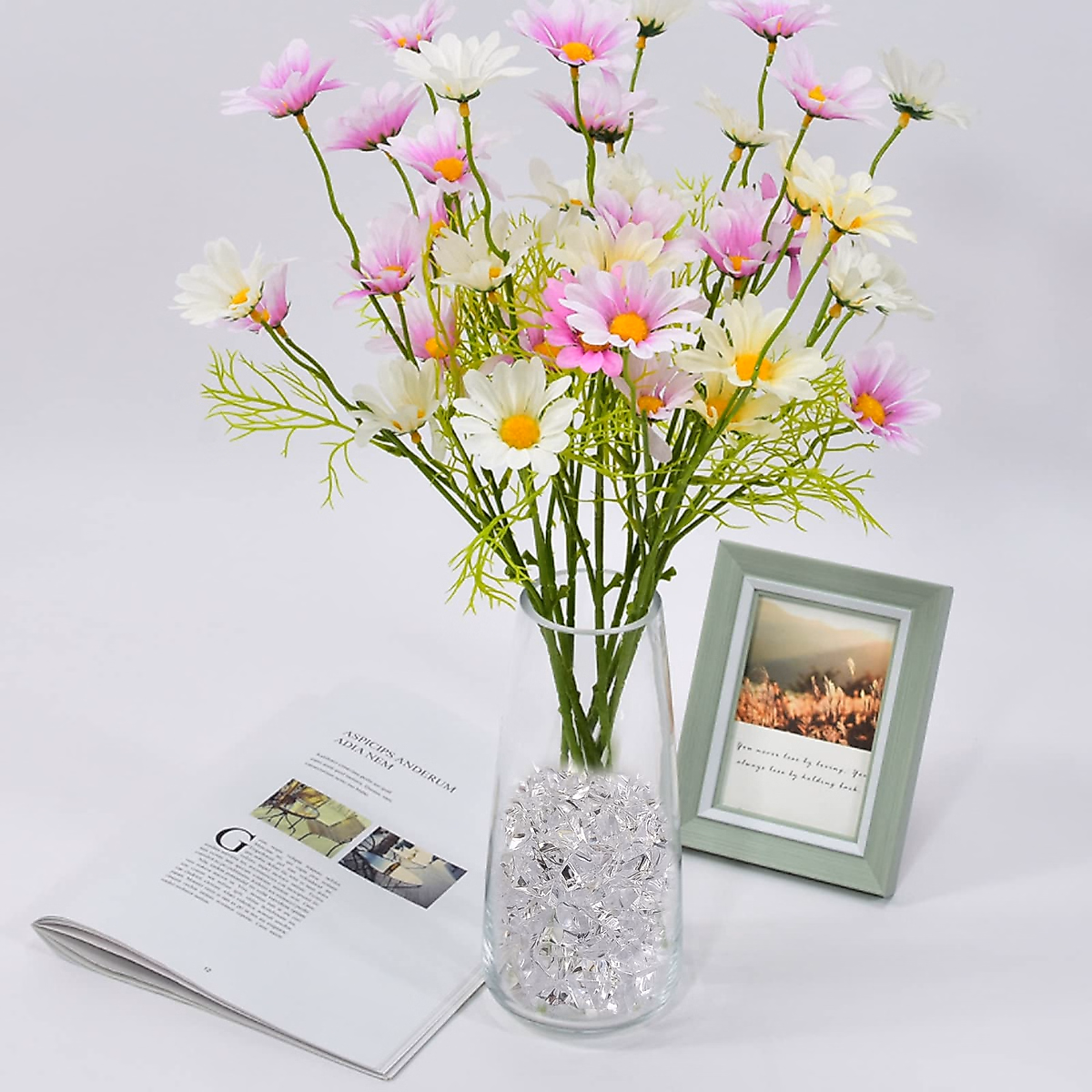 Fake Ice Cubes 750 PCS Clear Acrylic Rocks Vase Fillers for Centerpieces,Crystal Gems Stones Dazzlers Diamonds for Decor Photography Prop,Arts Crafts,Table Scatter,Home Decoration