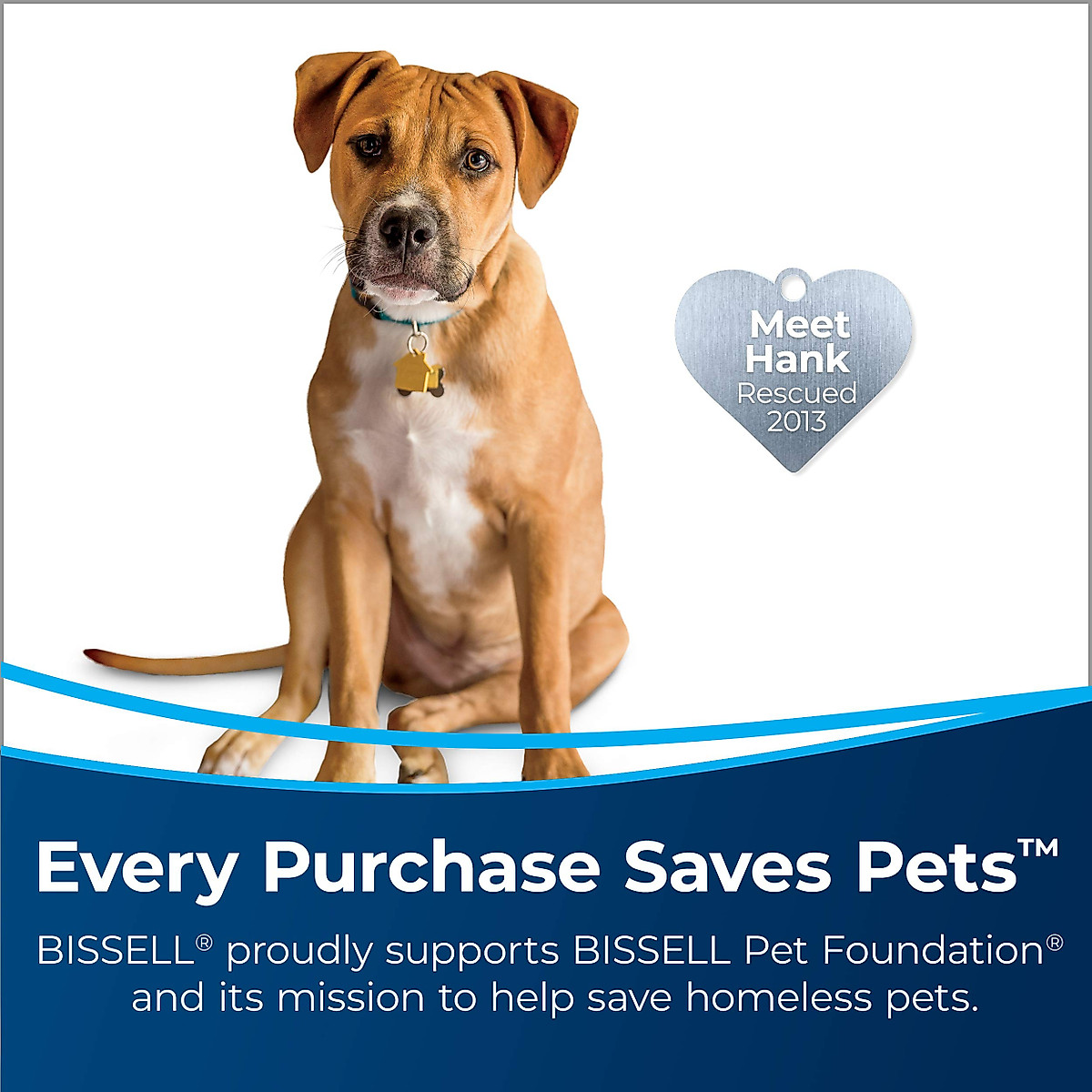 BISSELL 2-in-1 ProHeat 2X Lift-Off Pet: Portable Spot & Stain Cleaner + Full Size Carpet Cleaner, Car/Auto Detailer, 15651