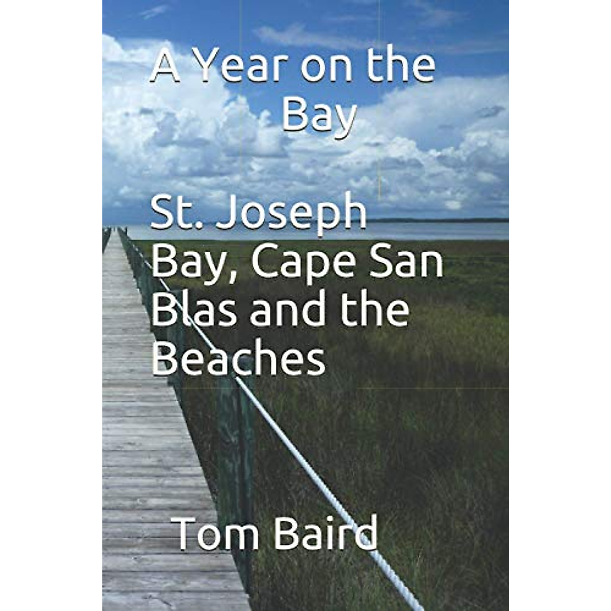A Year on the Bay - St. Joseph Bay, Cape San Blas and the Beaches