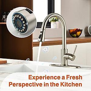 RULIA Kitchen Faucet, Kitchen Sink Faucet, Sink Faucet, Pull-Down Kitchen Faucets, Free Water Filter Included, Brushed Nickel, Stainless Steel, PB1020