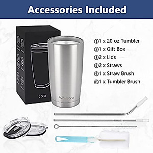 Waipfaru 20 oz Tumbler, Insulated Tumblers with Lid and Straw, Double Wall Durable Travel Coffee Mug, Stainless Steel Vacuum Tumbler, Splash-Proof Powder Coated mug for Cold & Hot Drinks (Stainless)