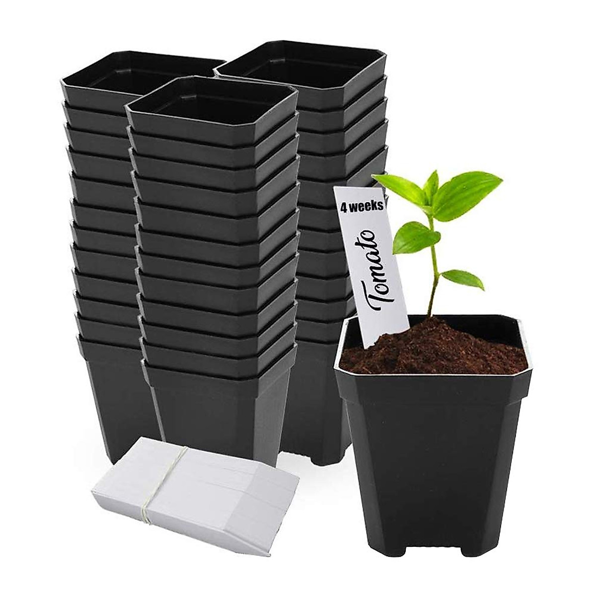48 pcs Plastic Nursery Pot for Plants 2.75" Square x 3.25" Seed Starting/Transplant Plant Containers for Tomatoes Basil Peppers Mint with 48 Label Markers and Drain Holes for Germination with Ebook