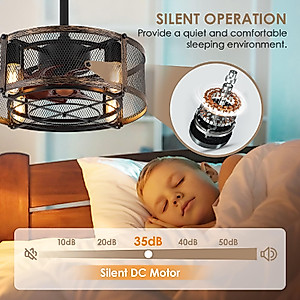 Dannilong Caged Ceiling Fans with Lights and Remote, Farmhouse Ceiling Fan with Light Bladeless, Small Ceiling Fan for Kitchen Bedroom Outdoor, 18 Inch Black Fandelier, Reversible Quiet Motor