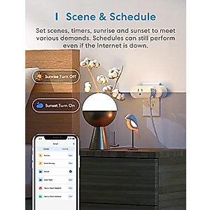 Smart Plug, Meross WiFi Dual Smart Outlet Supports Apple HomeKit, Siri, Alexa, Google Assistant & SmartThings, Voice & Remote Control, 10A, Timer, No Hub Required, 2.4GHz WiFi Only, 1 Pack