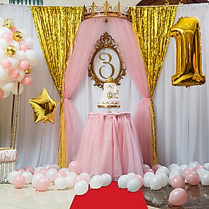 Tegeme Carpet Runner Aisle 2.6 x 30 Feet with Carpet Tape and 4 Pieces of 8.2 x 3.2 Feet Metal Tinsel Tassel Curtains for Halloween Birthday Wedding Party Decoration(Red)