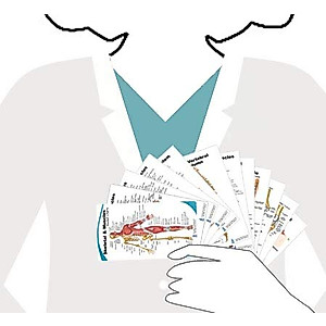 Skeletal System and Male Muscle Poster Set 24 x 36 inch, Extra Pocket Size Muscle Cards, Marker and Eraser Compatible