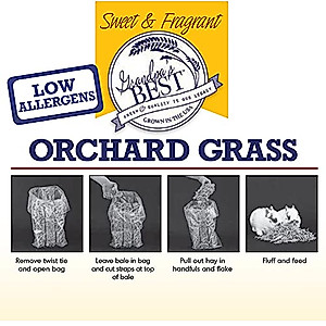 Grandpa's Best Orchard Grass Bale, 5 lbs,green
