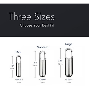 Pill Holder with Carabiner Style Clip, Stainless Steel Pill Fob Keychain (Standard)