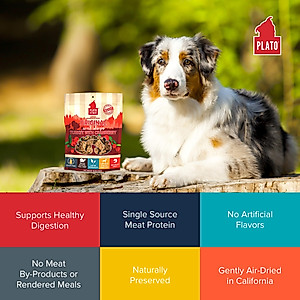 PLATO Turkey Real Strips Natural Dog Treats - Real Meat - Air Dried - Made in the USA - Turkey & Cranberry, 3 ounces