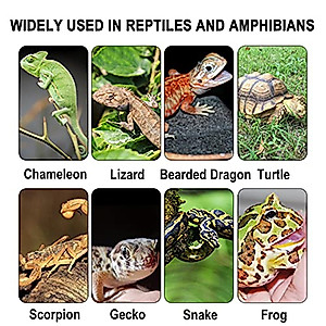 Hamiledyi Large Reptile Hideout Wood Bridge Ladder Hiding Hut Bearded Dragon Hammock Lizards Habitat Decor Climbing Accessories Tortoise Hide Cave Toy for Gecko Snake Chameleon Gecko Iguana