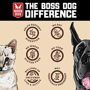 Boss Dog Boss Proballs Meatball Treats for Dogs & Cat, Beef Recipe, 6 oz Jar